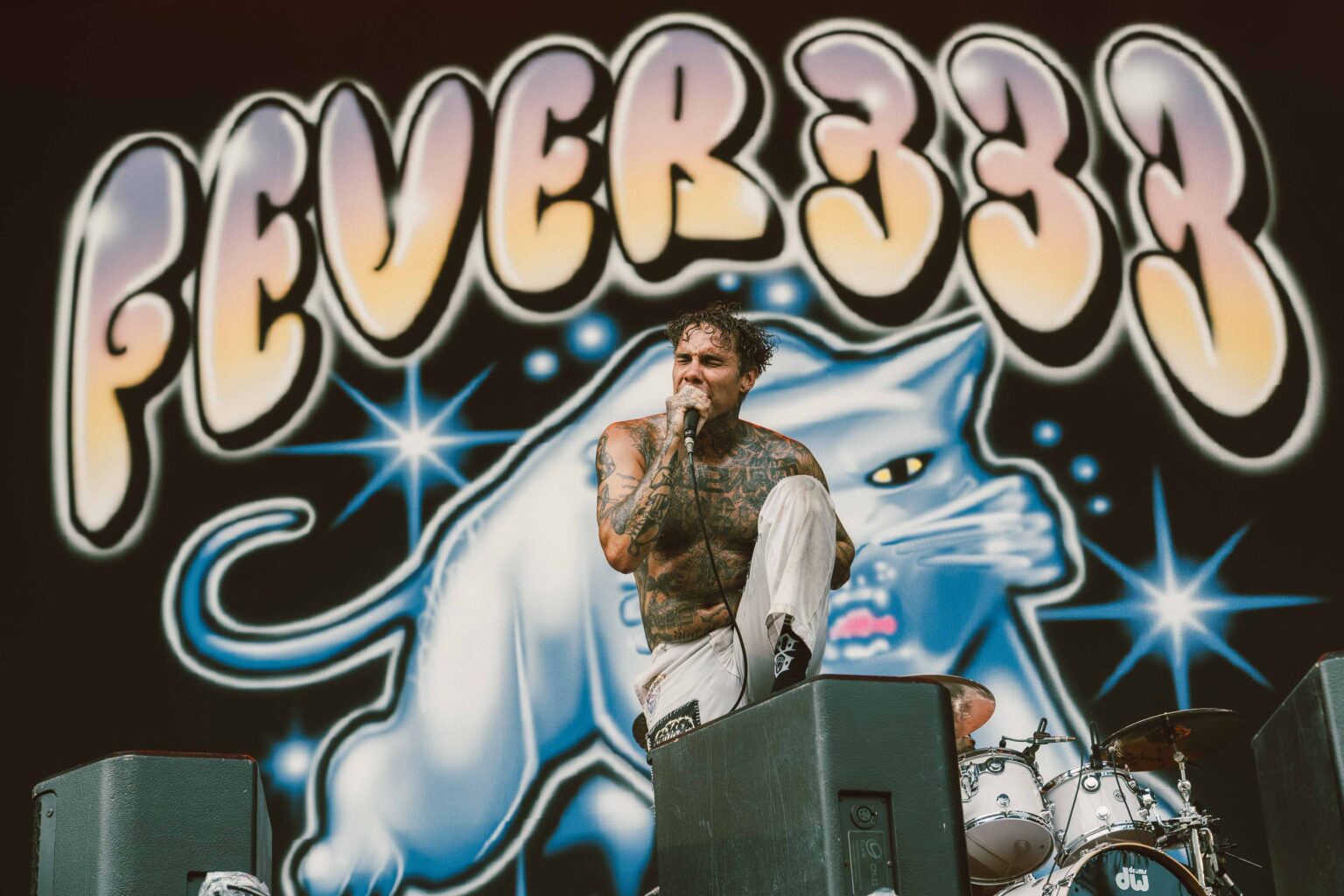 フジロック総括1万5000字レポート（前編） 体がいくつあっても足りなかった初日〜2日目夜｜Bezzy[ベジー]｜「人の魅力」にフォーカスしたエンタメメディア