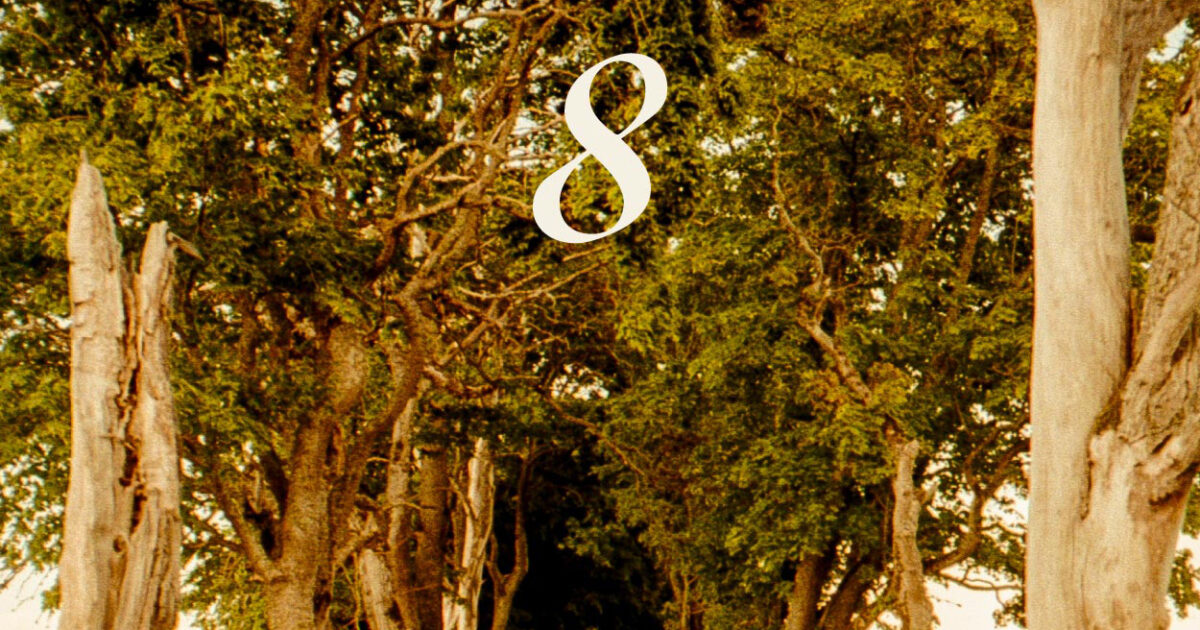 ROTH BART BARONが8thアルバム『8』発表、アートワーク＆トラックリスト公開｜Bezzy[ベジー]｜「人の魅力」にフォーカスしたエンタメメディア