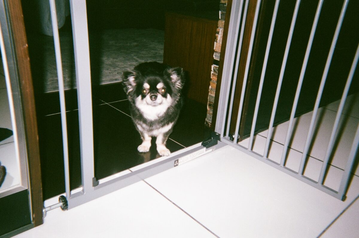 「11月にする1年の総括。」｜Bezzy[ベジー]｜「人の魅力」にフォーカスしたエンタメメディア